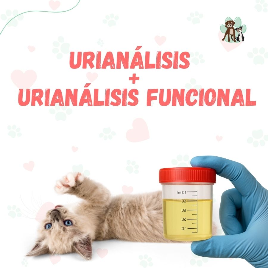 Examen Urianálisis + Urianálisis Funcional – BPets